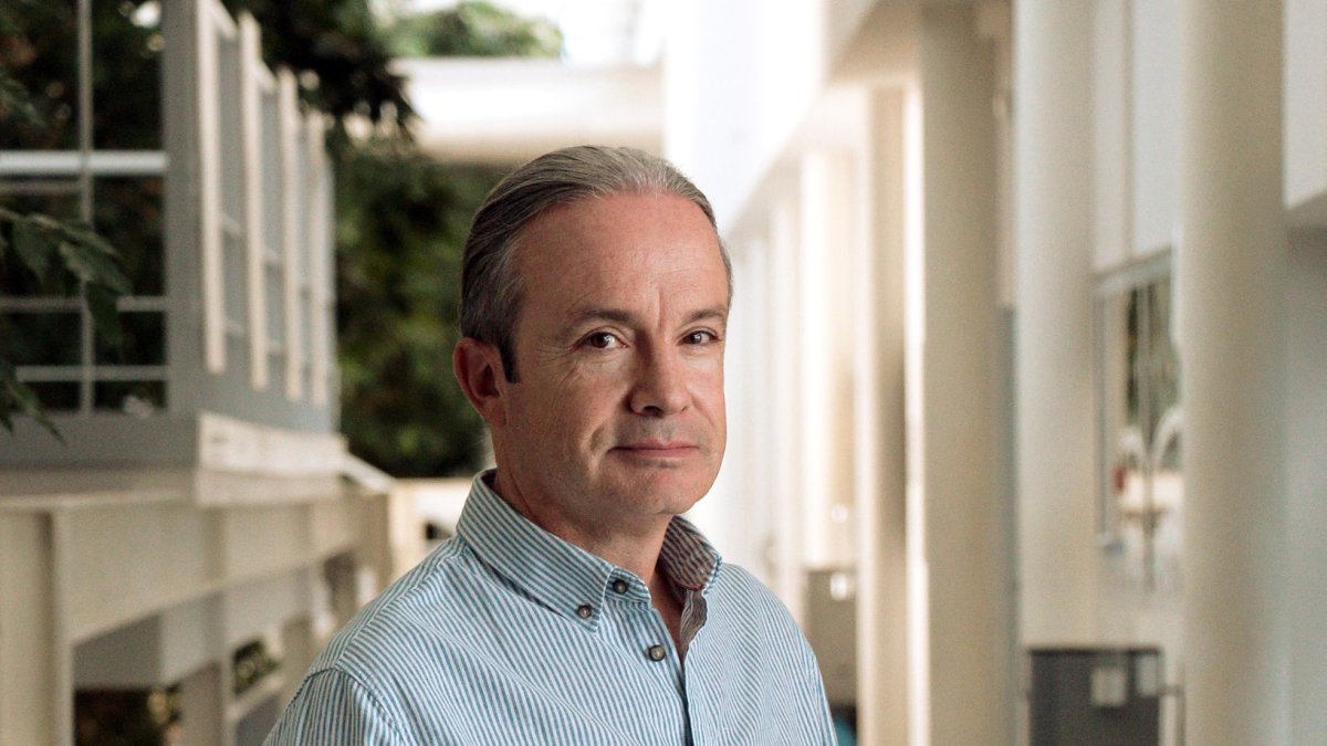 La evolución del universo y la vida, lienzo a lienzo. Conferencia de Carlos Briones | Museo ...